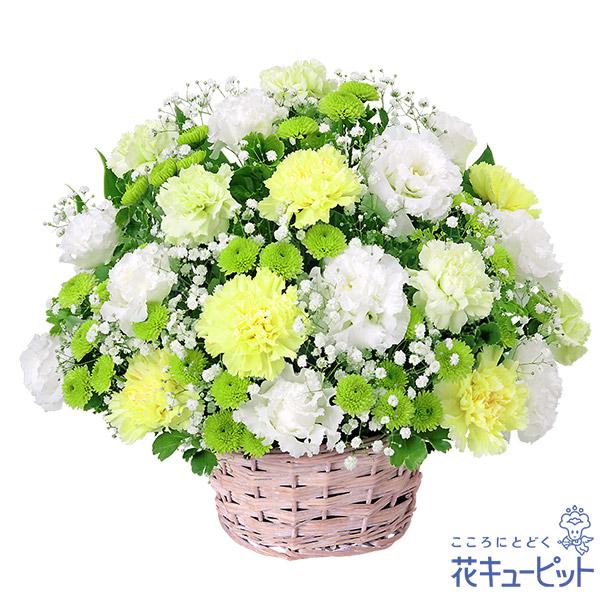 アレンジメントにはトルコキキョウなど、繊細で柔らかな印象のお花を使用しました。ホワイトやグリーンをメインに、落ち着いた色で仕上げた丸いフォルムは、お届け先に温かみを感じさせてくれます。524180丸いフォルムが温かみを感じさせてくれます　お...