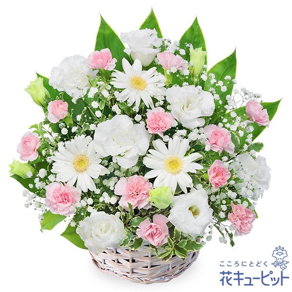 トルコキキョウなどの可愛らしい花々をたっぷりと使用しました。白をメインにピンクを加えた色合いは、ふんわりと柔らかな印象に。優しい色のアレンジメントがご遺族の心に寄り添います。524190ふんわり柔らかな色合いはご遺族の心に寄り添います　お悔...