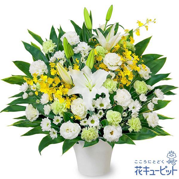 白ユリとオンシジウムを使って仕上げた、大きいサイズのお供えのアレンジメントです。華やかに咲いた花々は、まるで天上の花園のよう。凛々しく重厚な雰囲気の中に、哀悼の意を込めています。上品で落ち着いた色合いなので、四十九日法要以降に贈るのはもちろ...