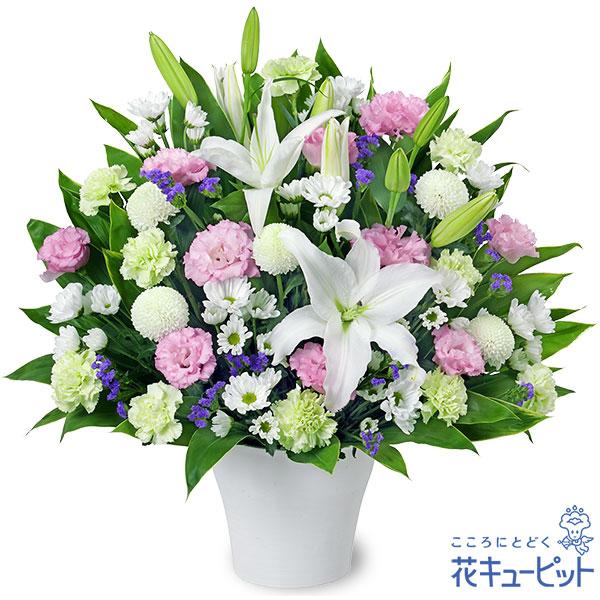 凛とした白ユリにピンクと紫の花々を添えて、華やかでありながら品のある色合いに仕上げたお供えのアレンジメントです。在りし日の故人の面影を偲び、追悼の想いを伝えます。色の入ったアレンジメントは、四十九日法要以降に贈るのがよいとされています。52...