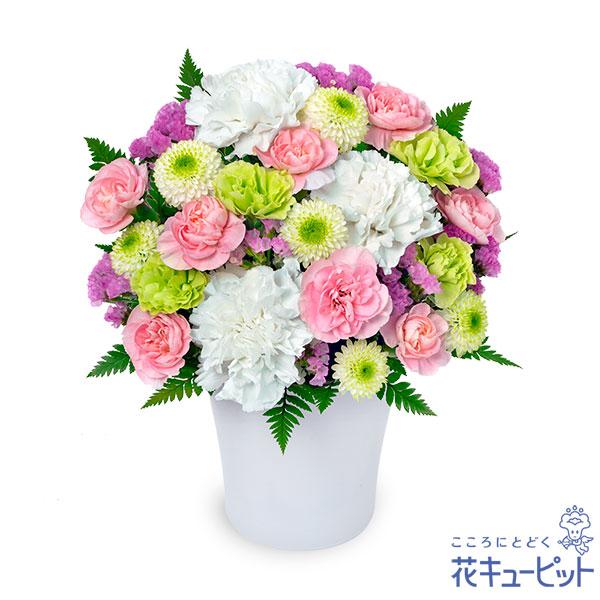白い花にピンク系の花をあわせたお供えのアレンジメント。柔らかく優しい色合いが、故人を偲ぶ気持ちを表現しています。色の入ったアレンジメントは、四十九日法要以降に贈るのがよいとされています。小さめのサイズなので、ご遺族の手を煩わせない贈り物です...
