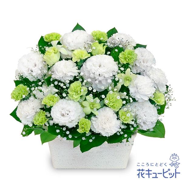 ふんわりとしたシルエットのトルコキキョウを中心に、白とグリーンの花々でまとめたお供えのアレンジメントです。やわらかい色合いのフラワーギフトが、故人を偲びご遺族の心に寄り添います。白上がりの花は、お通夜やご葬儀にも最適です。524306故人を...