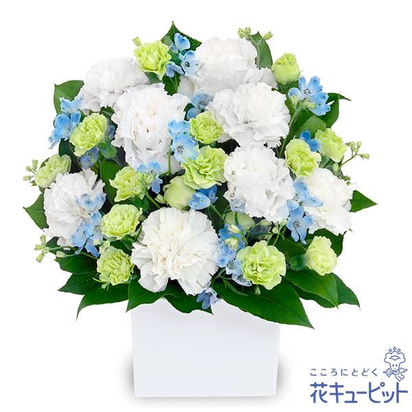清楚な白を基調に爽やかな青系の小花をあわせて、シンプルなお供え花に仕上げました。落ち着いた色の花々が、故人への想いを届けてくれるメモリアルフラワーです。色の入ったアレンジメントは、四十九日法要以降に贈るのがよいとされています。524307故...