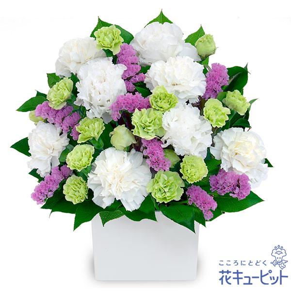 清楚な白を基調に優しげなピンク系の花をあわせて、シンプルなお供え花に仕上げました。やわらかい色の花々が、故人への想いを届けてくれるメモリアルフラワーです。色の入ったアレンジメントは、四十九日法要以降に贈るのがよいとされています。524309...