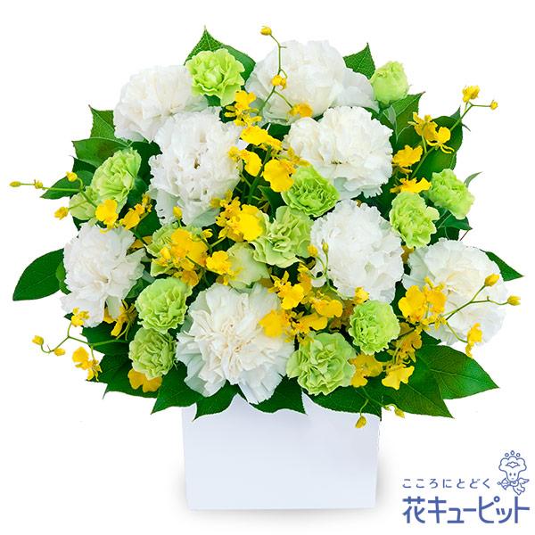 清楚な白を基調に鮮やかな黄色系の花をあわせて、シンプルなお供え花に仕上げました。まぶしい色の花々が、故人への想いを届けてくれるメモリアルフラワーです。色の入ったアレンジメントは、四十九日法要以降に贈るのがよいとされています。524310故人...