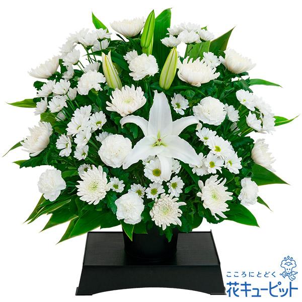 白いユリを中心にまとめた、供花台付きのお供えのアレンジメントです。白上がりのお花は、お通夜やご葬儀にも最適です。凛々しく落ち着いた雰囲気のお花が、お悔やみの気持ちを伝えます。524355白でまとめた供花台付きのアレンジメント　お悔やみのお花...