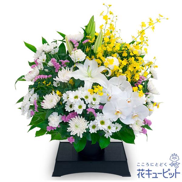 ユリや胡蝶蘭といった豪華な花々が美しい供花台付きのアレンジメント。重厚感のあるデザインのお供え花が、故人への想いをまっすぐに伝えてくれます。供花台付きのメモリアルフラワーは、一周忌法要などの場にも適しています。524358重厚感のあるデザイ...