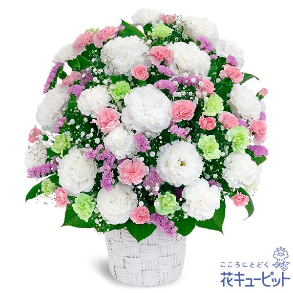 ふんわりと柔らかいシルエットのトルコキキョウに、優しげなピンク系の花をあわせたお供えのアレンジメントです。やわらかい色合いのフラワーギフトが、故人を偲びご遺族の心に寄り添います。色の入ったアレンジメントは、一周忌法要といった四十九日以降の贈...