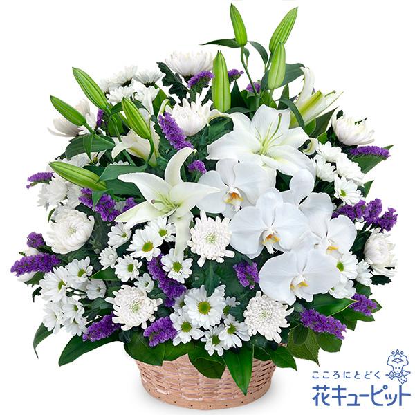 ユリや胡蝶蘭といった豪華な花々に、紫の小花をあわせたアレンジメント。重厚感のあるデザインのお供え花が、故人への想いをまっすぐに伝えてくれます。色の入ったメモリアルフラワーは、一周忌法要といった四十九日以降の贈り物に適しています。524363...
