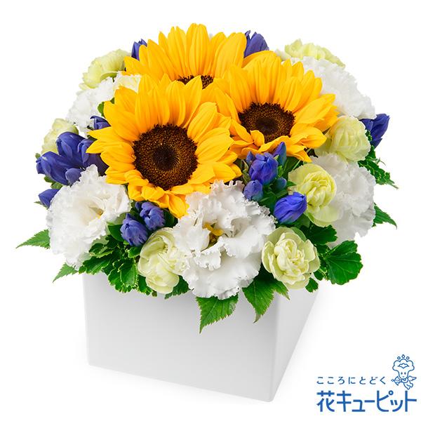 夏を代表する花であるひまわりに、落ち着いた紫のリンドウをあわせたお供えのアレンジメントです。季節を感じられるフラワーギフトが、故人を偲びご遺族の心に寄り添います。色の入ったアレンジメントは、一周忌法要といった四十九日以降の贈り物に適していま...