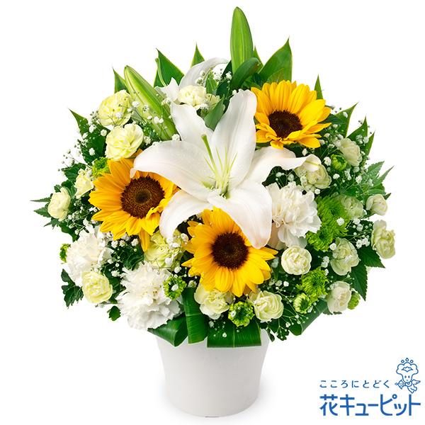 凛として目を引く白のユリに、華やかなひまわりをあわせたお供えのアレンジメントです。明るい色合いのフラワーギフトが、故人を偲びご遺族の心に寄り添います。色の入ったアレンジメントは、四十九日法要以降に贈るのがよいとされています。お盆のお供えにも...
