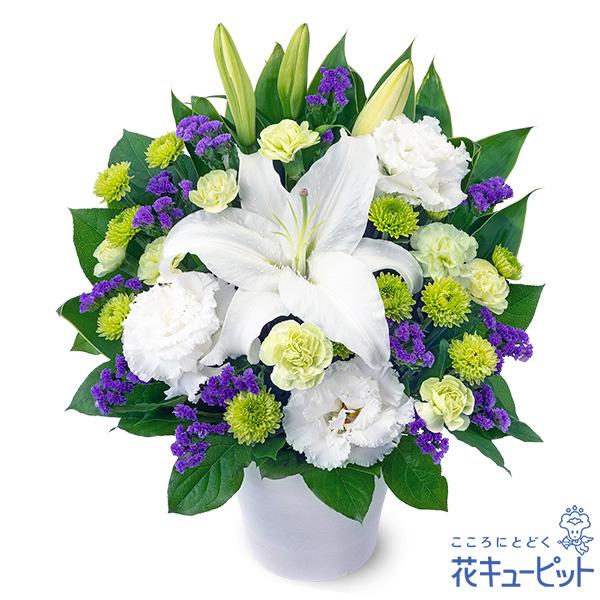 凛とした白のユリに、紫の小花をあわせたアレンジメント。ボリューム感のあるデザインのお供え花が、故人へのあふれる想いをまっすぐに伝えてくれます。色の入ったメモリアルフラワーは、一周忌法要といった四十九日以降の贈り物に適しています。524418...