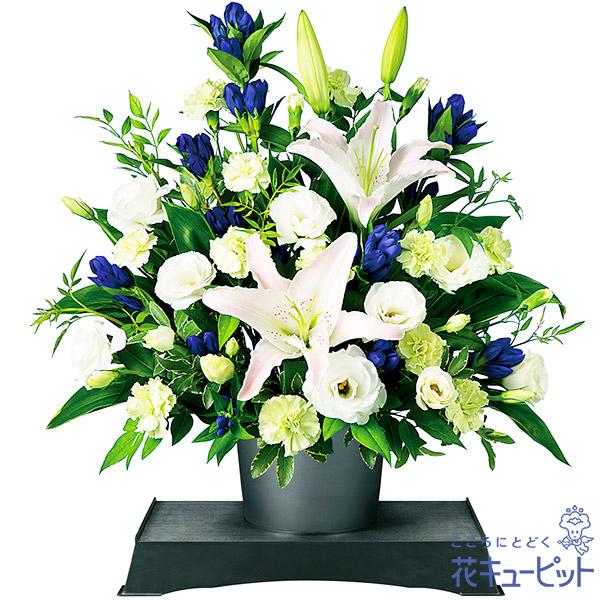 白や紫の花をすっきりとまとめたアレンジメント。哀惜の気持ちを花に表現しました。525034白と紫の花が哀惜の気持ちを表現　お悔やみのお花を地域のしきたりにあわせお花のプロがご用意いたしますので、安心してご利用いただけます。　　【こんなご用途...