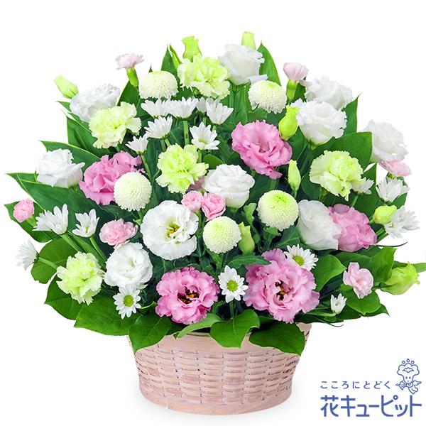 花もちの良いトルコキキョウなどのお花を、たっぷり使った大きなアレンジメントです。白を基調にしてピンク色なども取り入れたお花は、特に四十九日以降の贈り物に適しています。淡い色合いの花々が、故人への想いを繋ぎます。525100淡い色合いの花々が...
