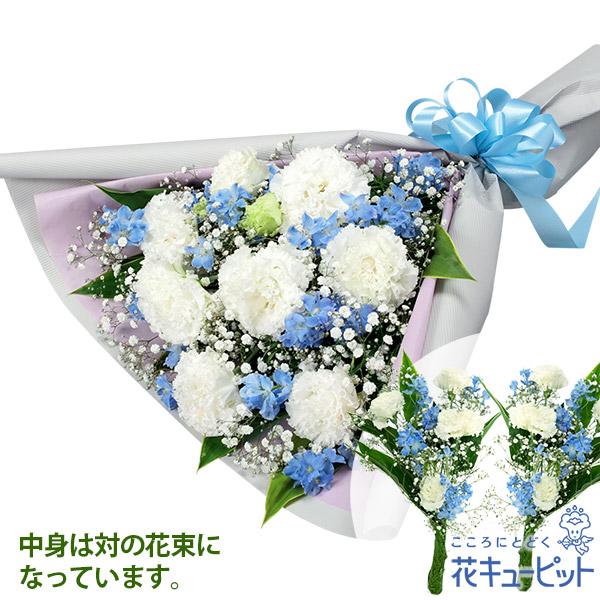 白いトルコキキョウと青系の花をまとめたお供えの花束です。左右対称なデザインの花束を2つ合わせているため、お墓や仏壇にお供えしやすい仕様となっています。2つの花束を1つにまとめてラッピングし、お届けいたします。525155お墓にお供えしやすい...