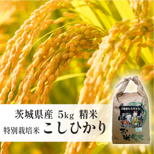ツヤ、コシ、粘りというおいしいお米の要素をすべて兼ね備えています。噛めば噛むほどやさしい甘みで食べやすいお米です。小さなお子様からすべての方に安心して食べていただけるように、有機肥料や米糠を使用し、農薬を最小限に控え一生懸命育てています。