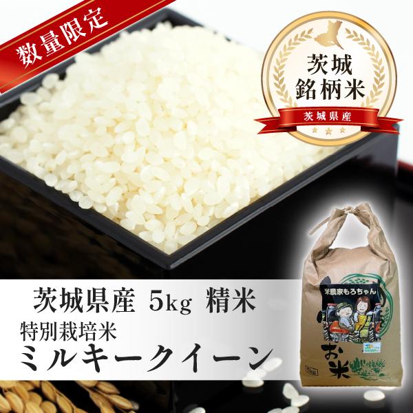 冷めても硬くなりにくい、もちもち食感のお米です。小さなお子様からすべての方に安心して食べていただけるように、有機肥料や米糠を使用し、農薬を最小限に控え一生懸命育てています。