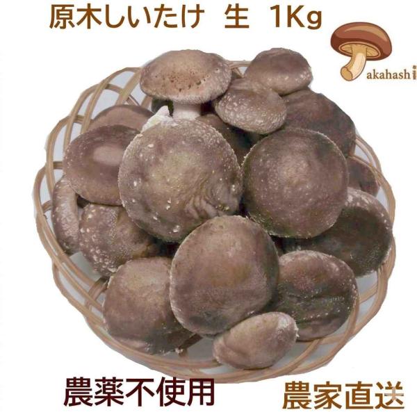 【農家直送】《脱炭素に取組む高橋農園》4代70年の伝統　国産　原木しいたけ 生。 農薬不使用　クール便サービス　ご家庭用 厚肉シイタケ 生椎茸 1kg　原木椎茸　通販　この商品は段ボール箱入りです　焼き肉、バーベキュー、天ぷらその他いろいろ...