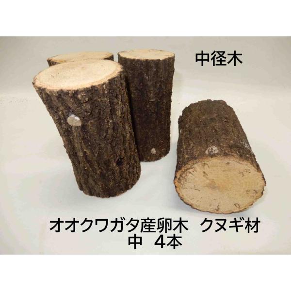 約10年ぶりに復活します。高橋農園のクワガタ産卵木　飼育材（朽木）・クヌギ材。全品、農薬は全く使っておりません。また、国産の原木を使っています。クヌギ材（朽ち木）で中径木、やや硬め（柔軟材ではありません）長さ約14ｃｍ、太さ約9〜11ｃｍ、...