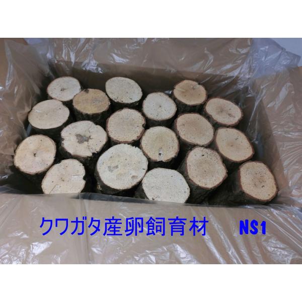 約10年ぶりに復活します。高橋農園のクワガタ産卵木　飼育材（朽木）・コナラ材　細。全品、農薬は全く使っておりません。また、国産の原木を使っています。コナラ材（朽ち木）で細（小径木）、やや硬め（柔軟材ではありません）長さ約14ｃｍ、太さ約6〜...