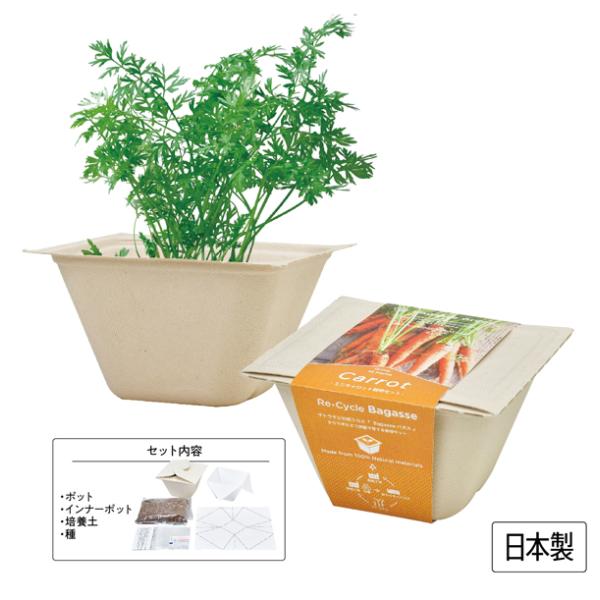 バガスグリーン ミニキャロット 72個販売こちらの商品は、72個もしくは72個の倍数をカートに入力してください。※ご注文単位以下の場合はキャンセルさせて頂きます。※価格は1個あたりの価格と成ります。バガスグリーンは、手軽にはじめる話題のSD...