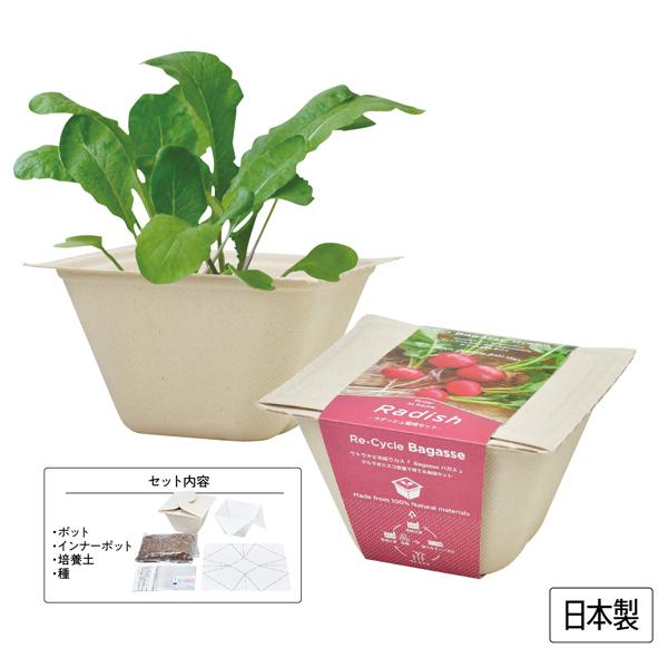 バガスグリーン ラディッシュ 72個販売こちらの商品は、72個もしくは72個の倍数をカートに入力してください。※ご注文単位以下の場合はキャンセルさせて頂きます。※価格は1個あたりの価格と成ります。バガスグリーンは、手軽にはじめる話題のSDG...