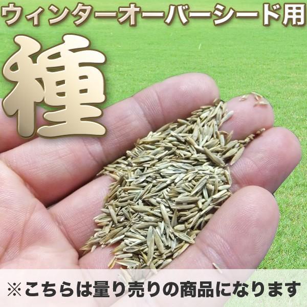 当店で販売する、ウィンターオーバーシード用「種」です。ウィンターオーバーシード専用の種で、ペレニアルライグラスの中でも最上級な品種の、ターフとしての質が高い、秋まき用の芝の種です。春に夏芝とトランジッション(切り替え)がしやすいよう、意図的...