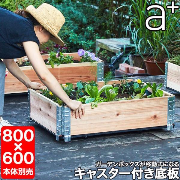 a+design(エープラスデザイン) ガーデンボックス専用 キャスター付きベース 800×600mm ad-0806baseベランダやバルコニー、ウッドデッキなどガーデンボックスが設置しにくい環境におすすめのキャスター付きベース。底板にキ...