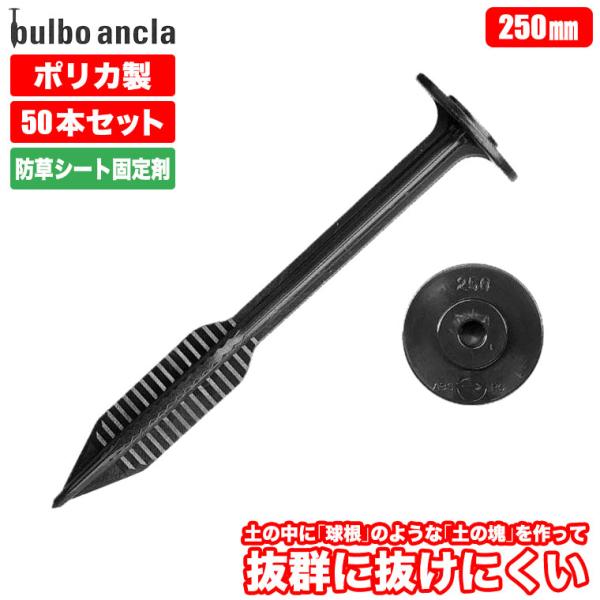 ポリカブルボアンカー BA250-PC 50本入り ブルボアンカー(bulbo ancla)は、土の中に「球根」のような「土の塊」をつくって抜けにくくする、新しい仕組の防草シートピンです（特許出願済）。ブルボとは、スペイン語で球根という意味...