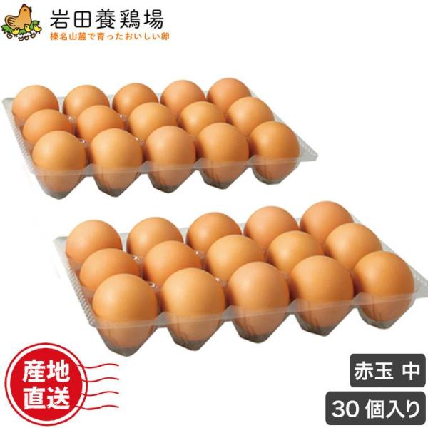 岩田養鶏場 岩田のおいしい卵 産直 赤玉中 30個入り 送料無料です。榛名山の麓に位置し、赤城山をも眺める最高の環境で大正13年からこだわりの卵を提供し続ける岩田養鶏場。直売所は平日でも常に県内外のお客様でにぎわう人気店。伊香保温泉や草津温...