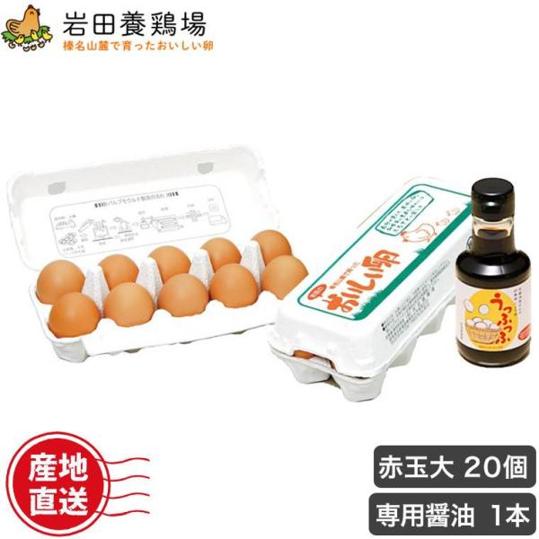 岩田のおいしい卵 産直 卵かけこだわりセット 赤玉大20個 専用醤油 詰め合わせ 送料無料です。榛名山の麓に位置し、赤城山をも眺める最高の環境で大正13年からこだわりの卵を提供し続ける岩田養鶏場。直売所は平日でも常に県内外のお客様でにぎわう...