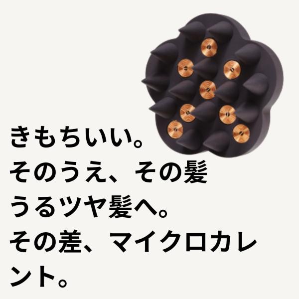 本体：シリコン コイル：エナメル銅線