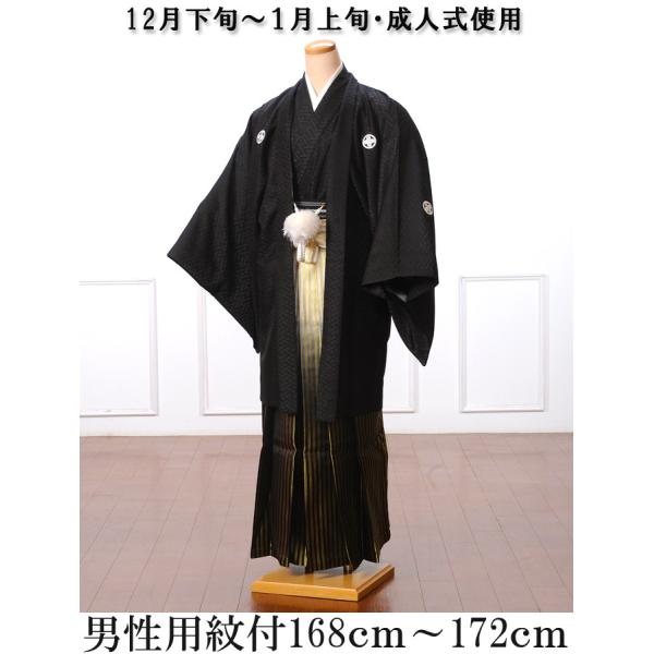 紋付袴 レンタル（１月/成人式）8SAF-09【紋付き】[羽織袴レンタル]〔男性〕〔紳士〕〔着物〕〔成人式〕〔結婚式〕〔男袴〕〔貸衣装〕【5号】【168ｃｍ〜172ｃｍ位まで】【黒】【金縞袴】【グラデーション】足袋プレゼント★往復送料無料★