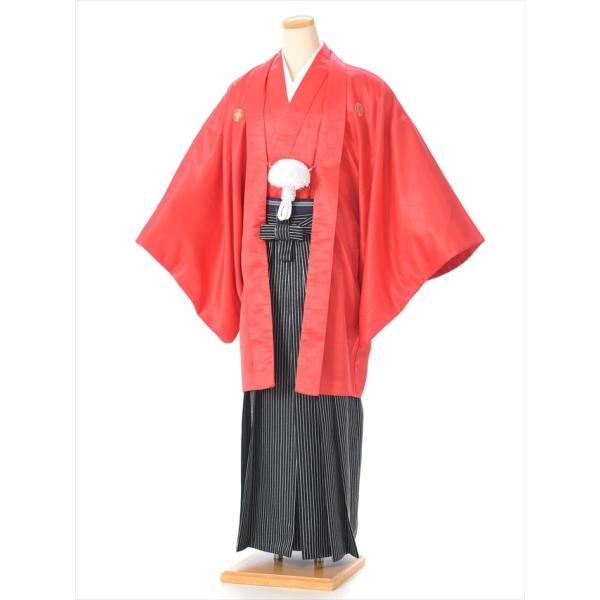 紋付袴 レンタル（１月/成人式）8SAF-16 紋付き 羽織袴レンタル 男性 紳士 着物 成人式 結婚式 男袴 貸衣装 163ｃｍ〜167ｃｍ位まで 赤 黒縞袴 足袋プレゼント 往復送料無料
