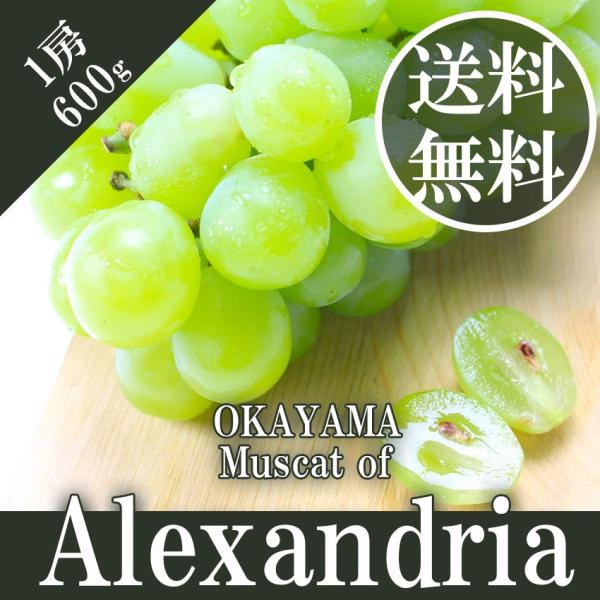【発売日：2026年06月03日】■品種:岡山県産　マスカット・オブ・アレキサンドリア■原産地:岡山県産■賞味期限:到着後はなるべく早くお召し上がりください。■保存方法:常温保存■お届けについて:６月上旬〜★■配送日指定不可※お届けは６月上...