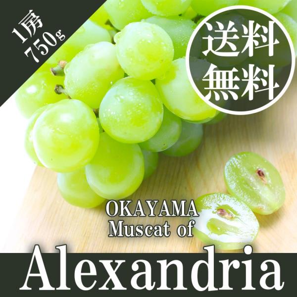 【発売日：2026年06月03日】■品種:岡山県産　マスカット・オブ・アレキサンドリア■商品内容:秀品　贈答向き　1箱　約750g　1房 専用化粧箱■原産地:岡山県産■賞味期限:到着後はなるべく早くお召し上がりください。■保存方法:常温保存...