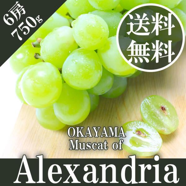 【発売日：2026年06月03日】■品種:岡山県産　マスカット・オブ・アレキサンドリア■商品内容:秀品　贈答向き　1箱　750g1房6箱入り■原産地:岡山県産■賞味期限:到着後はなるべく早くお召し上がりください。■保存方法:常温保存■お届け...