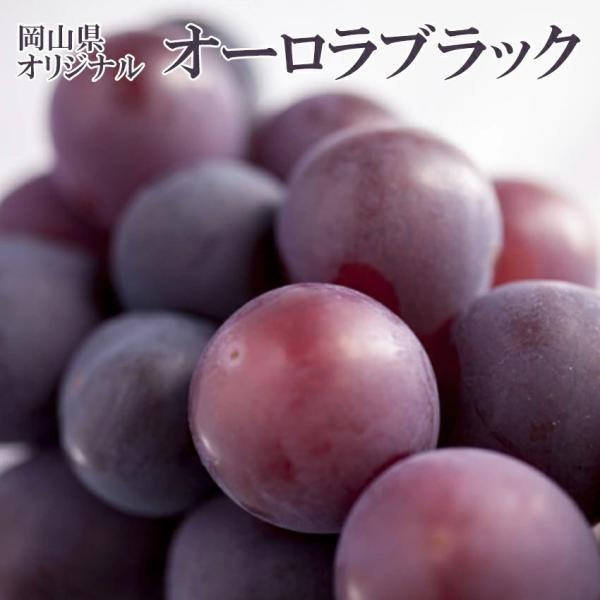 ■品種:岡山県産オリジナル品種　オーロラブラック　■商品内容 : 贈答向き　2房1kg 500g×2房■原産地:岡山県産■賞味期限:到着後はなるべく早くお召し上がりください。■保存方法:常温保存■お届けについて:７月中旬頃出荷開始★■配送日...