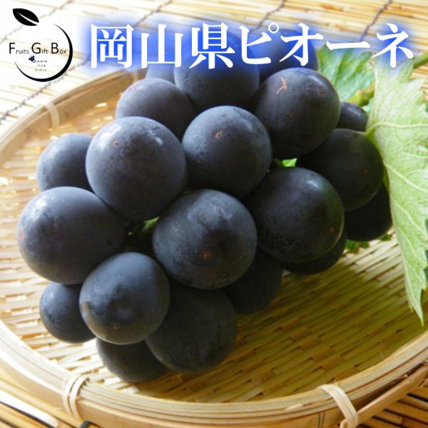 ■商品名:岡山県産　New ピオーネ■原産地:生産量No.1　岡山県産■賞味期限:到着後はなるべく早く食べてください。■保存方法:冷蔵保存■配送日指定可（有料）※お届けは5月中旬頃からのお届けとなります。※天候等の理由によりお届け時期が変更...