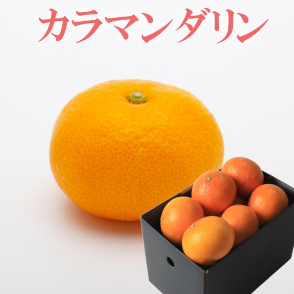 【発売日：2026年04月07日】カラマンダリンは、数ある柑橘の中で最も樹になっている期間が長いので、果汁がとっても濃厚で、みかんの果汁が凝縮されているような濃い味わいです。深みのあるオレンジ色の果肉は濃厚で、とってもジューシーな味わいをお...