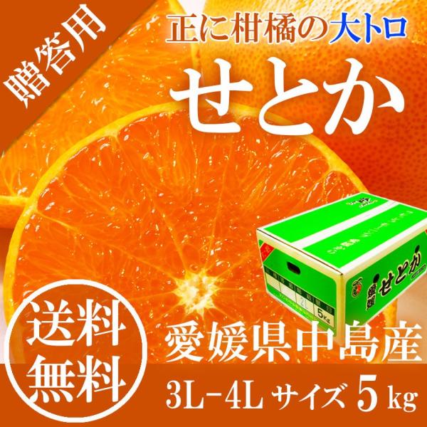【発売日：2026年02月27日】JAえひめ中央のせとかは生産量No.1！平成生まれのスーパースター柑橘TVや雑誌でも紹介される幻のエリート柑橘！トロ〜リとろける濃厚な味わいと溢れる果汁はまさに柑橘会の大トロとも呼ばれています。３月上旬頃よ...