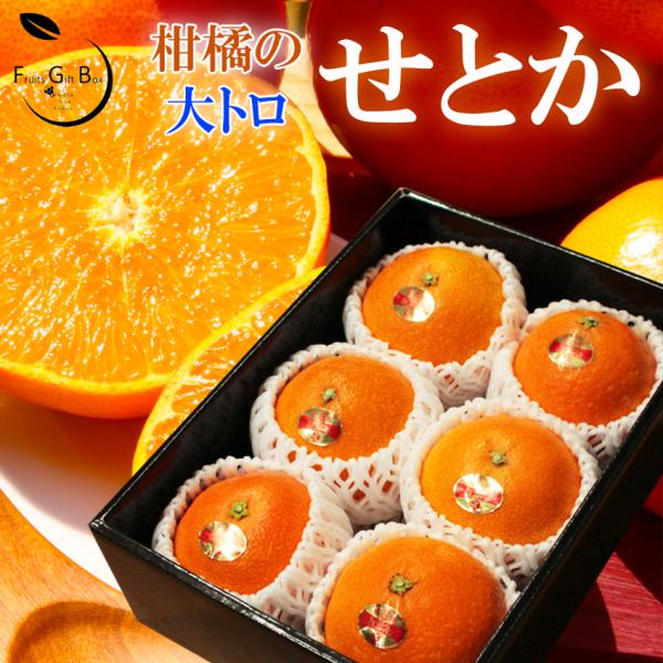 【発売日：2026年02月27日】JAえひめ中央のせとかは生産量No.1！平成生まれのスーパースター柑橘TVや雑誌でも紹介される幻のエリート柑橘！トロ〜リとろける濃厚な味わいと溢れる果汁はまさに柑橘会の大トロとも呼ばれています。３月上旬頃よ...