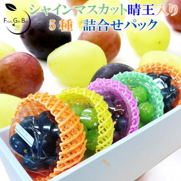 【発売日：2026年06月25日】■品種:岡山県産　晴王 入り5種詰合せパック■商品内容:1箱　約 120g×5パック■原産地:岡山県産■賞味期限:到着後はなるべく早くお召し上がりください。■保存方法:冷蔵保存※天候等の理由によりお届け時期...