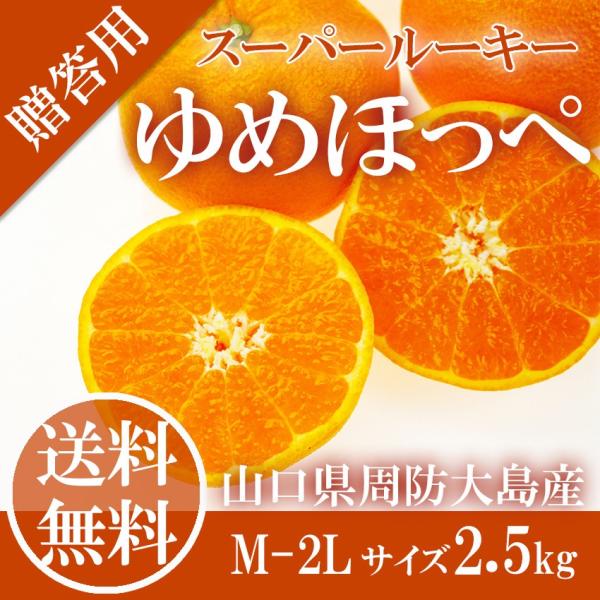 ゆめほっぺは本当に希少な柑橘で市場にはほとんど出回らない奇跡の柑橘です！「清美オレンジ」と「吉浦ポンカン」を掛け合わせてできたのが「せとみ」と言う品種になります。「せとみ」を丁寧に１つ１つ光センサー選別し、糖度13.5度以上、酸度1.35度...