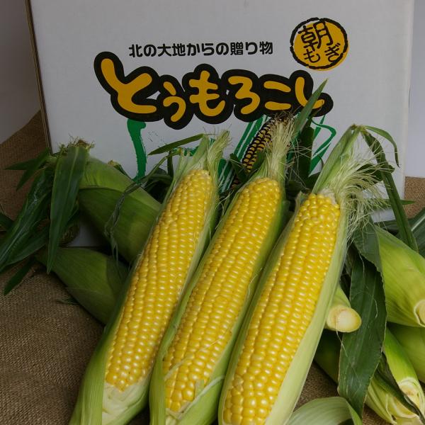 【発売日：2026年08月17日】商品：味来コーン　10本入り　北海道産配送：クール便受付　8月上旬まで発送期間　8月中旬〜下旬（発送はご注文受付順となります。）＊お届け日の指定は原則できかねます。「味来」は種を蒔いても芽が出る確率が低く、...