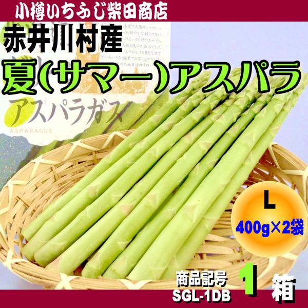【発売日：2026年07月27日】内容量：夏アスパラ　Lサイズ　800g×１袋　保存方法：冷蔵配送：ヤマトクール便受付　7/31まで発送期間　7月下旬~（発送はご注文受付順となります。）＊お届け日の指定は原則できかねますが、ご希望の場合はご...