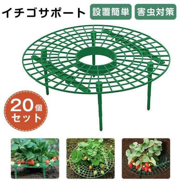 イチゴ棚 20個セット 支柱 イチゴサポート ストロベリーサポート いちご植え支柱 円形設置簡単 苺苗棚 栽培棚 支え棚 園芸支柱 野菜 フラワースタンド 園芸ラック 野菜スタンド サポート棚 カビ 腐敗 害虫対策 組立簡単●:54●カラー...