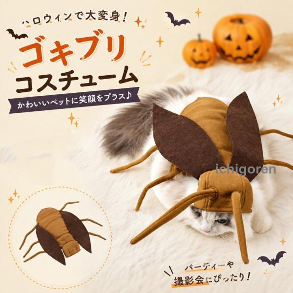 カラー ブラウン注意事項 製品更新により、予告なしで同じ商品がデザイン、色若干変わる場合がございますので、予めご了承下さい。撮影の為、画質等の関係上、色などが実際の商品と若干違ってしまうこともあるかもしれませんがご理解のほどご購入ください。...