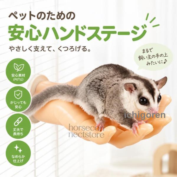 製品仕様素材：PETGタイプ：2タイプタイプAサイズ：約12×20×6cmタイプBサイズ：約8.5×20×4cm仕様：ハンド型 / ケージ固定式用途：手乗り練習 / おやつ誘導 / ケージ内ステップ / 止まり場 / 休憩スペースなど対象例...