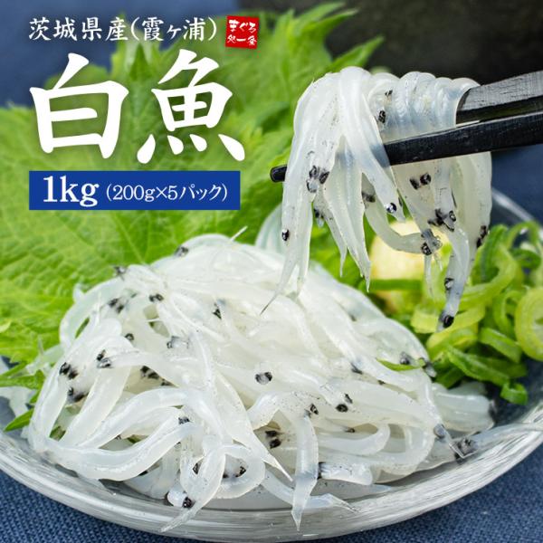 国産の白魚を、水揚げ後すぐ氷水で活〆し、鮮度抜群のまま急速冷凍し美味しさを閉じ込めました。そのままお刺身で召し上がれます。白魚はプリッとした食感で、淡白ながら旨みと程よい苦みが特徴。どんぶり、お寿司、天ぷらやかき揚げなどにどうぞ。■内容量：...